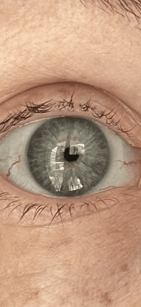 Photo Requirements - Carol Brailey™