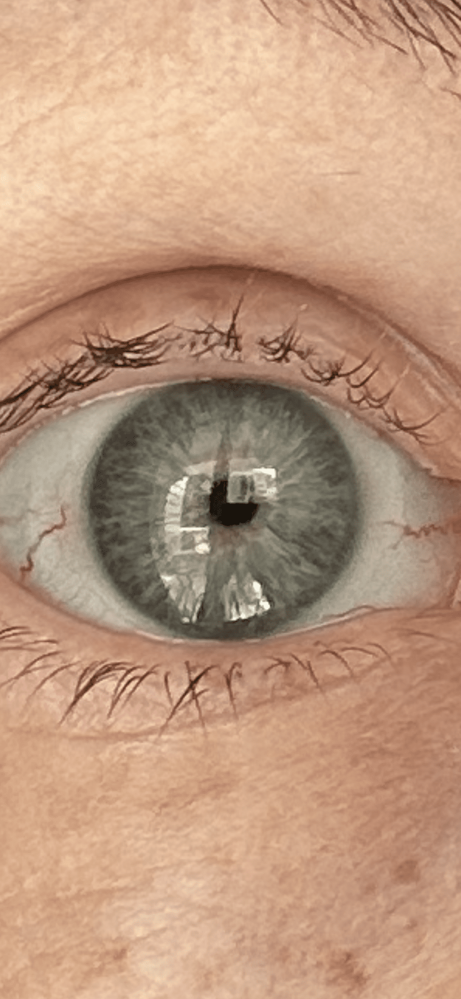 Photo Requirements - Carol Brailey™